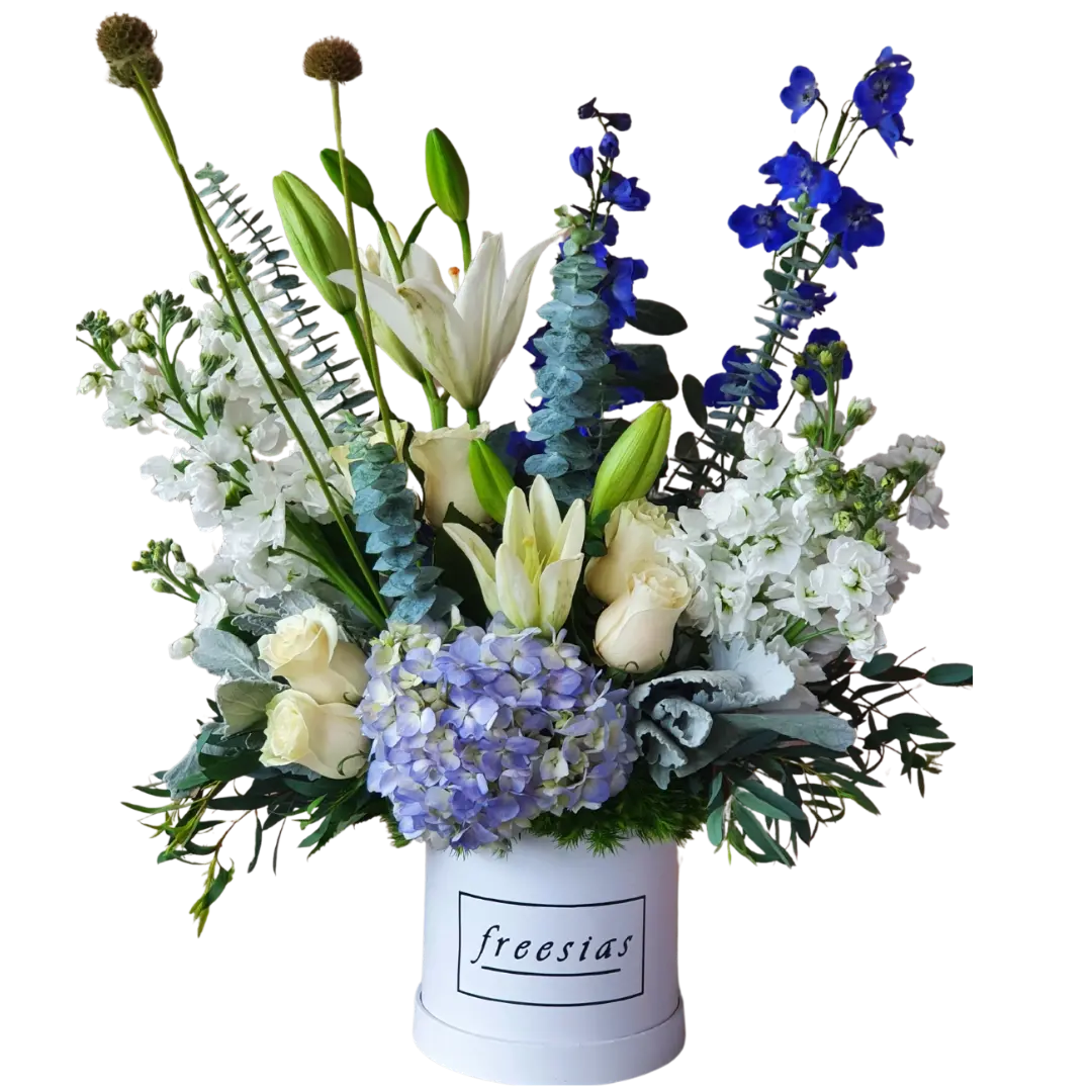 Amanecer Azul - Freesias